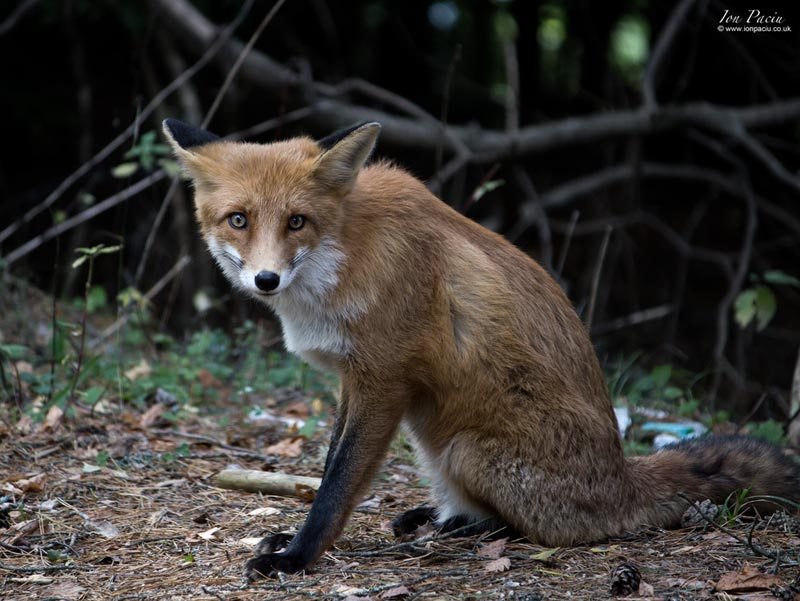 Why I Swapped My Expensive Camera for a Cheaper Option - Photoion