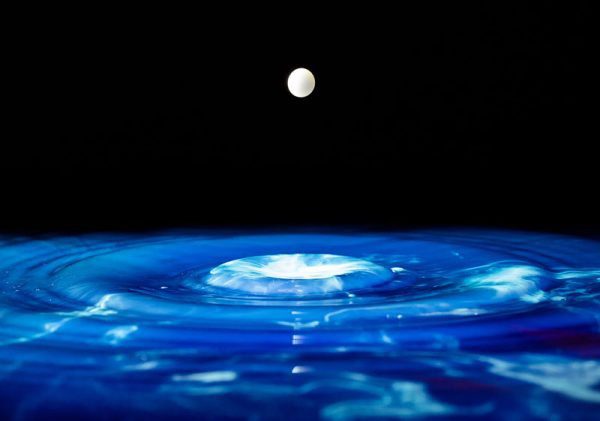 Water Drop Photography Tips - Photoion Photography School