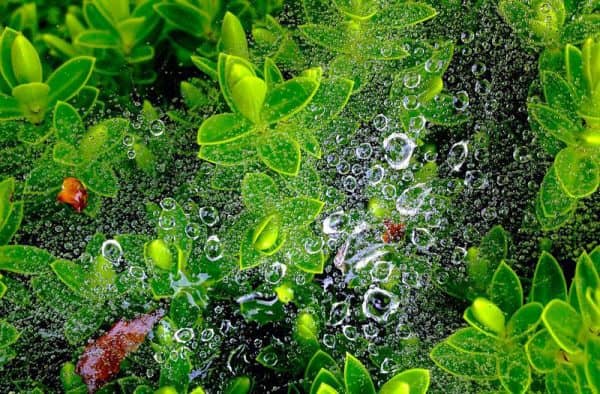 Rain Photography Techniques | Photoion